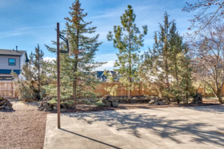 Trees That Can Be Planted Near To A House