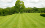 What Are The Benefits of Zoysia Grass In The Yard?