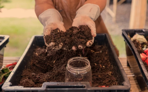 Zoo Doo Compost: Grow a Greener Garden Today