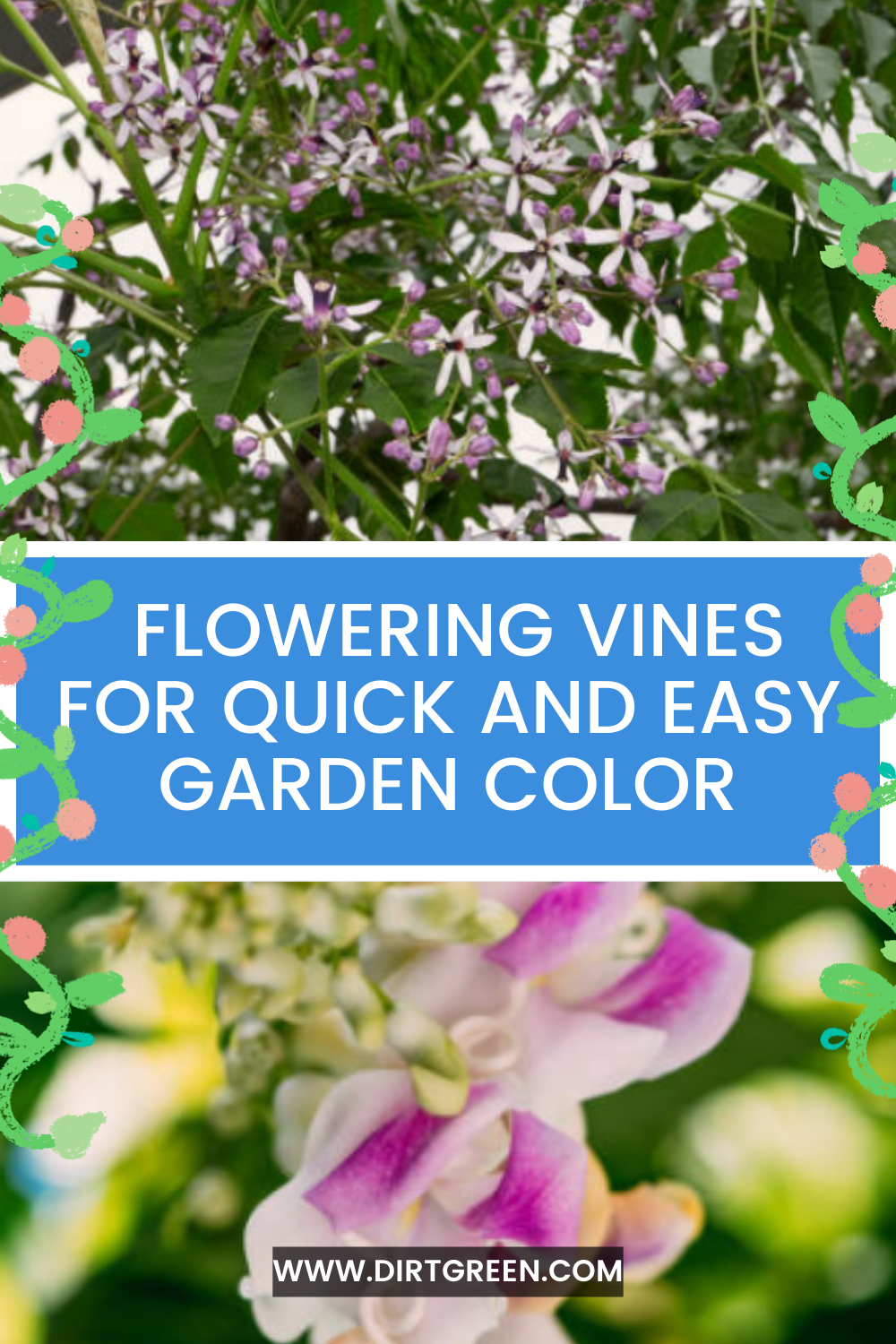 17 Fast-Growing Flowering Vines Across Zones