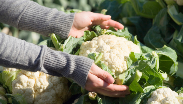 Why is My Cauliflower Yellow? And How to Prevent It