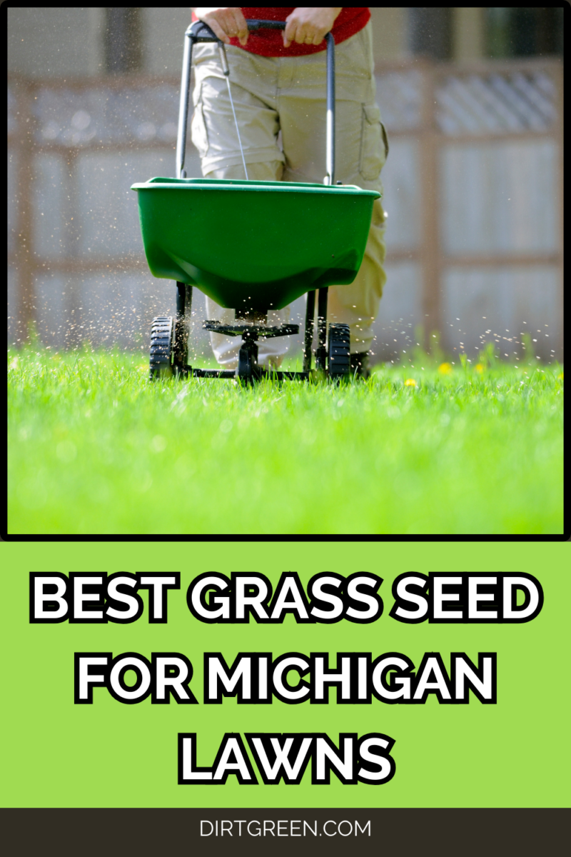 The Best Grass Seed for Michigan Lawns