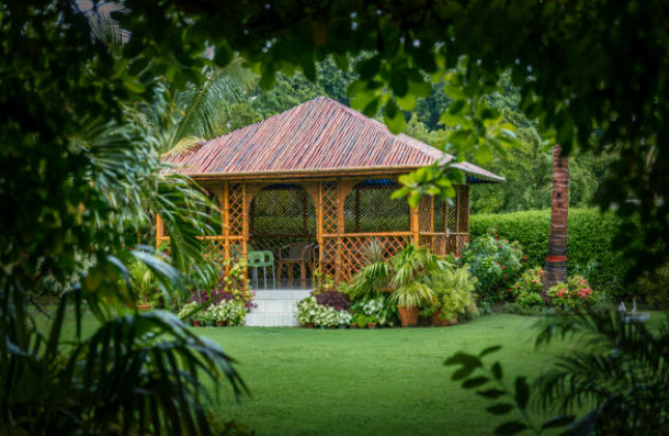 10 Stunning Weeping Willow Tree Landscaping Ideas