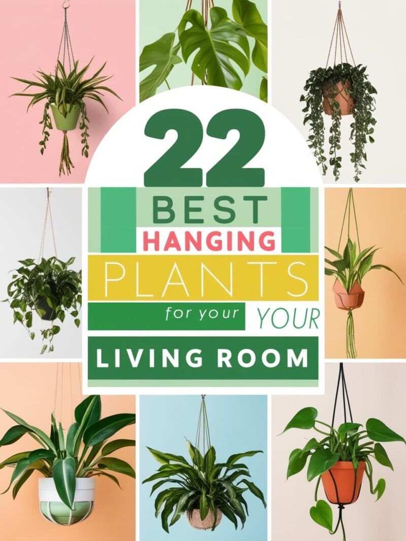 22 Hanging Plants Perfect for Your Living Room Decor